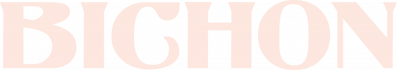 ACCUEIL - BICHON L'AUBERGE NOUVELLE GÉNÉRATION